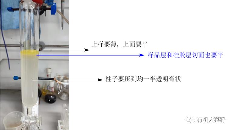一个单元格上下分二层截图