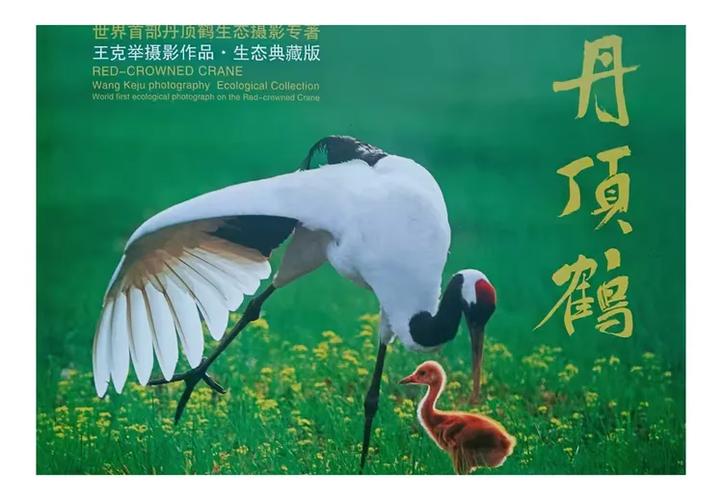 一鹤先生截图