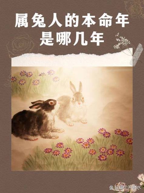 兔年是什么年图标