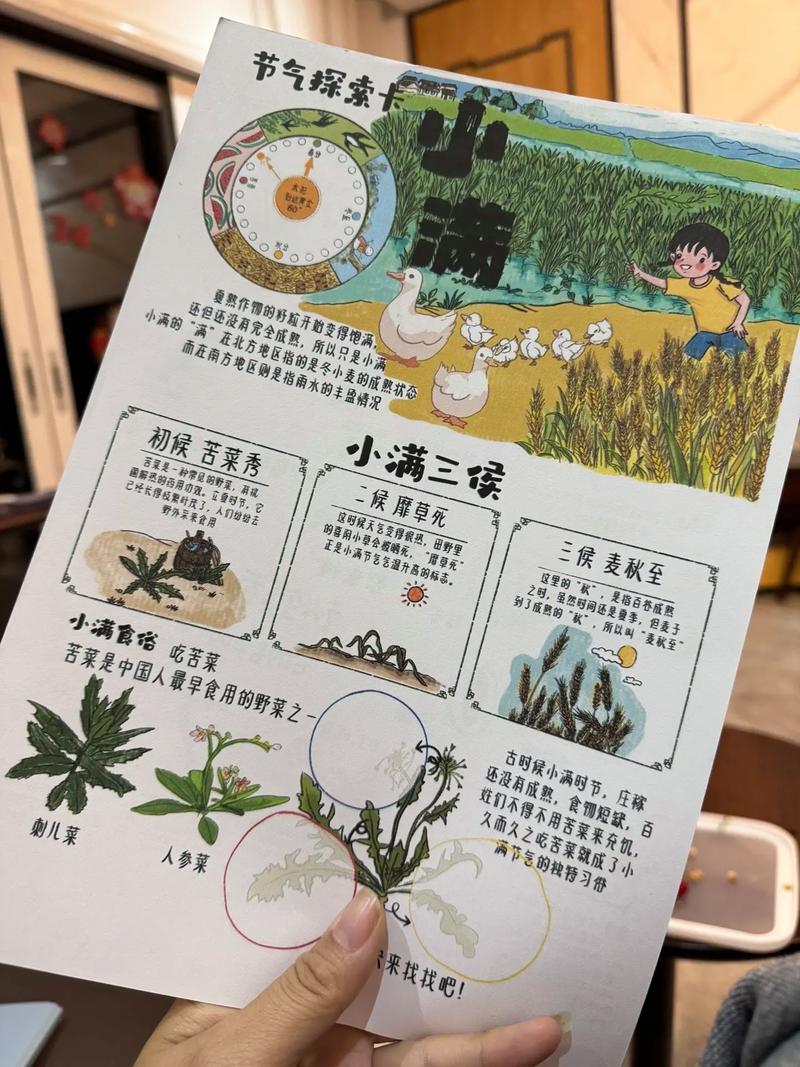 小满科技是干嘛的图标