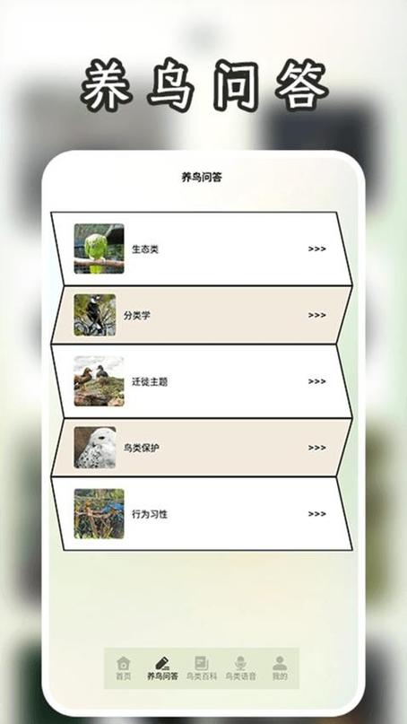 孤独的鸟软件图标