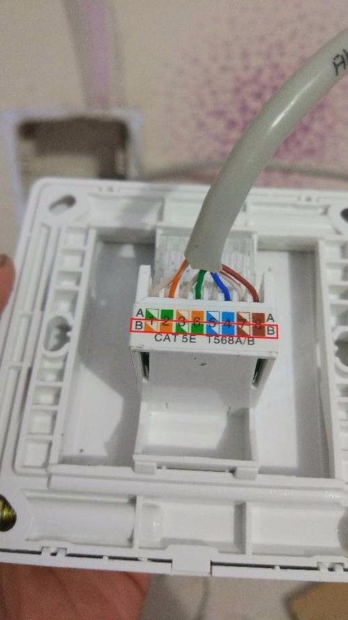 电线接法颜色插座