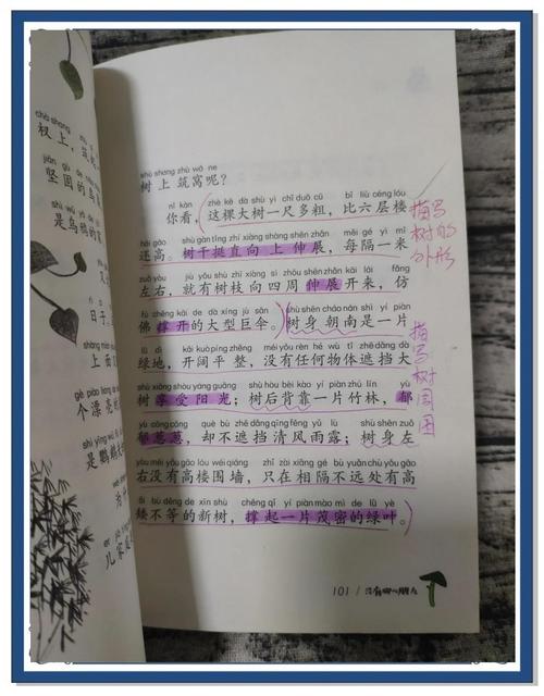 桃叶青青阅读答案2018图标
