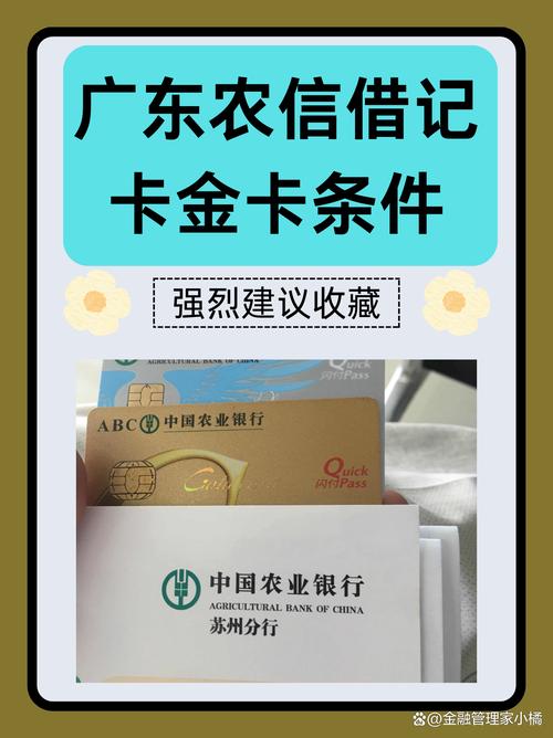 广东农村信用社vip图标