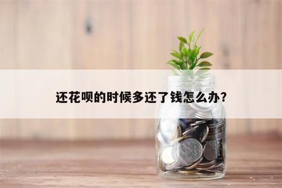 感觉花呗重复收费截图