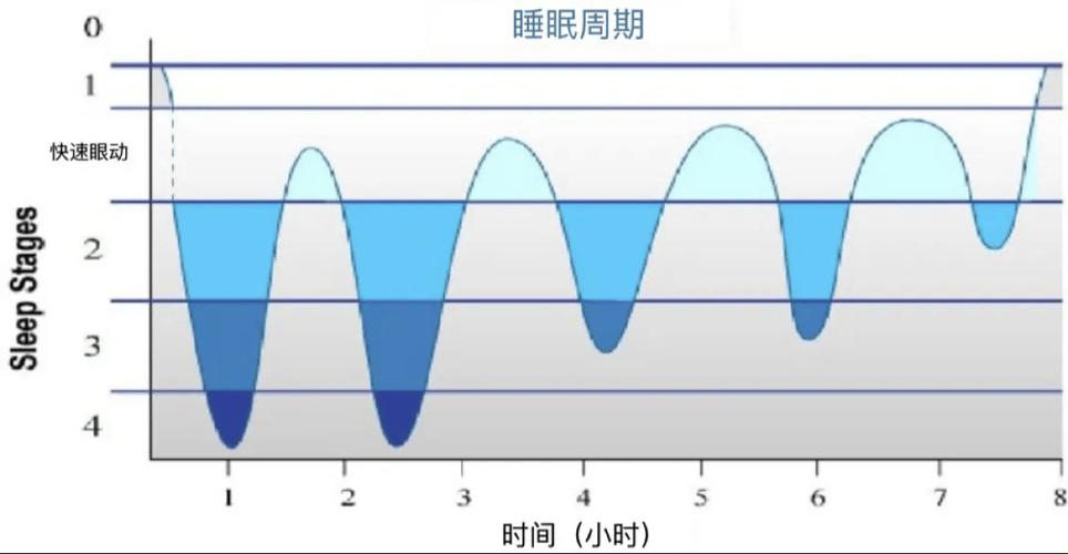 深度睡眠多长时间正常图标