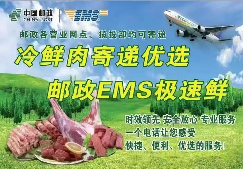 360极速版app图标