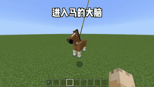 我的世界怎么生成极品马图标