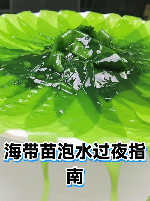 海带泡水喝的功效图标