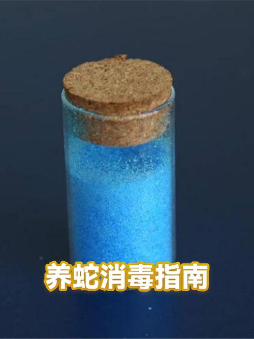 为什么不建议养黑王蛇