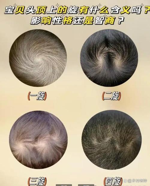 头旋顺时针和逆时针说法图标