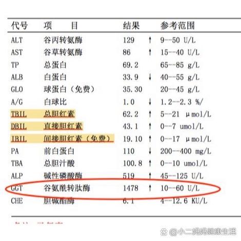 伽马谷氨酰转肽酶图标