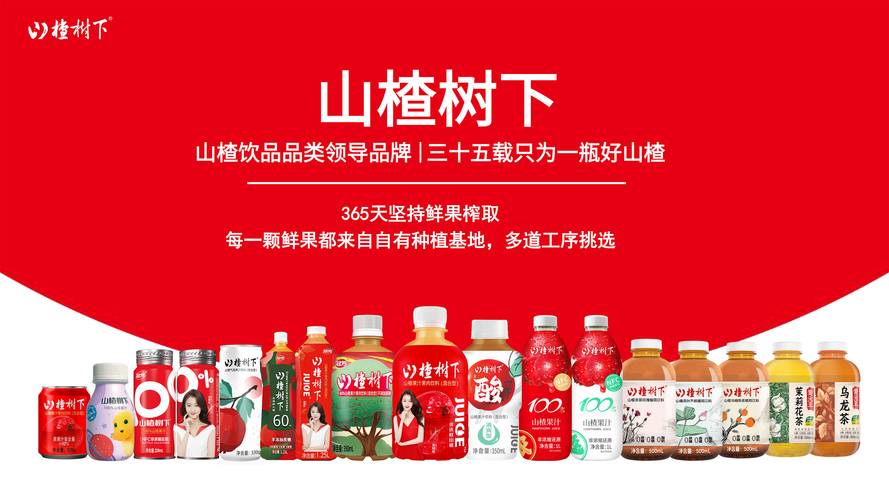 山楂树下简介图标