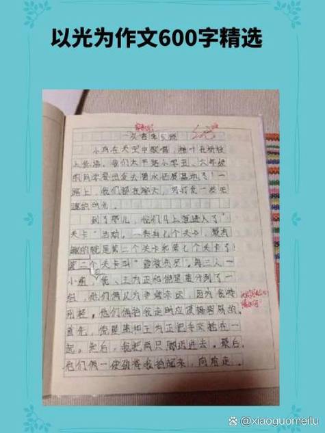 …的目光作文图标