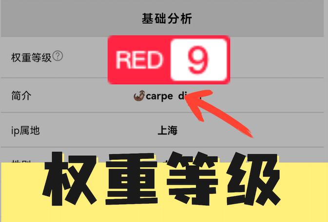 查视频分析 测账号权重图标