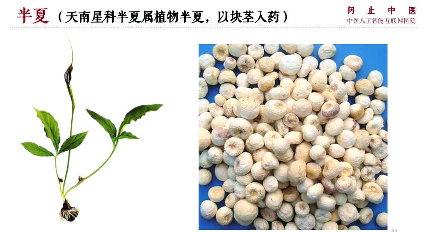 黄连和半夏功效与作用截图