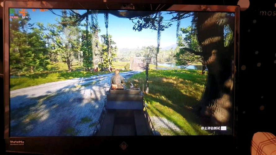 1060显卡荒野大镖客2图标