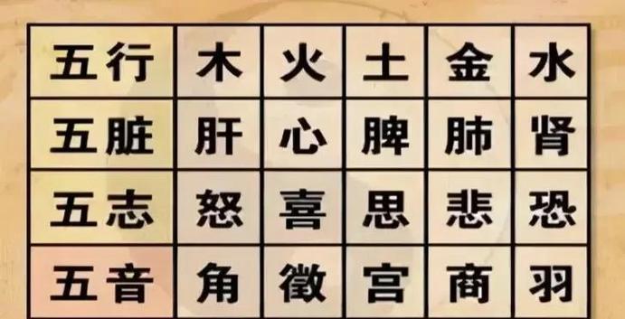 中医五行视频教学视频图标