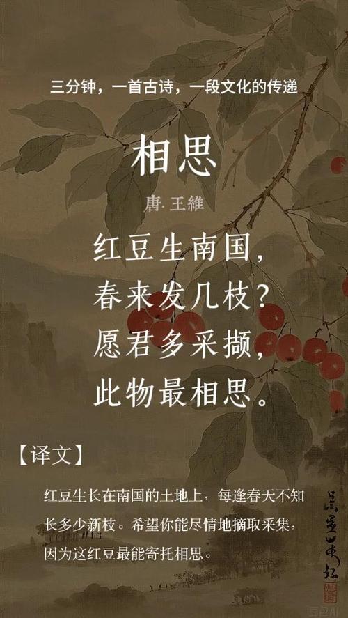 王维《相思》翻译图标