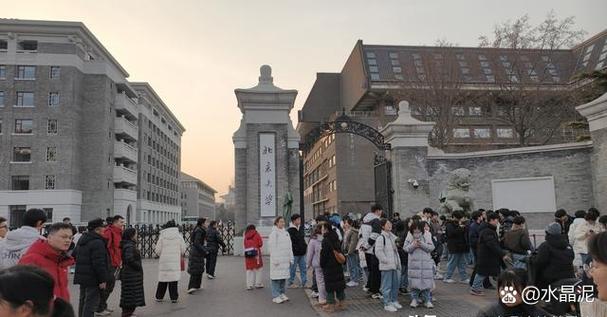 桌师兄图标
