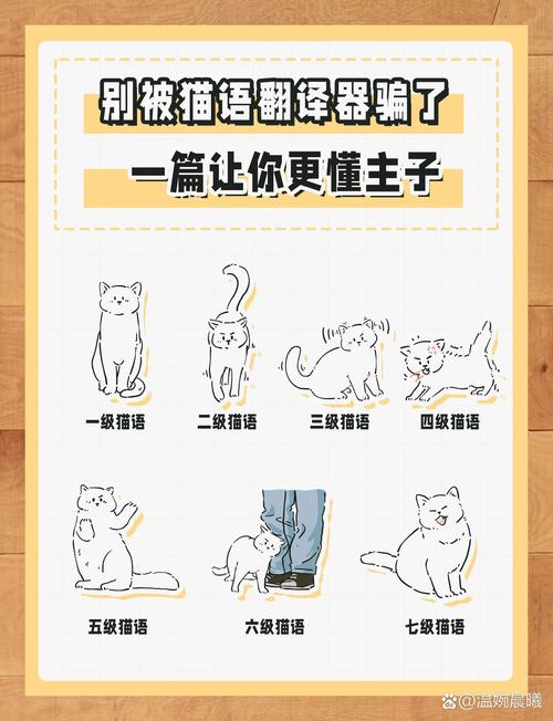 狸猫转换器怎么用图标