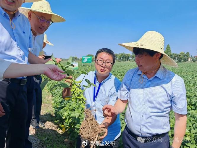 超级农业霸主截图