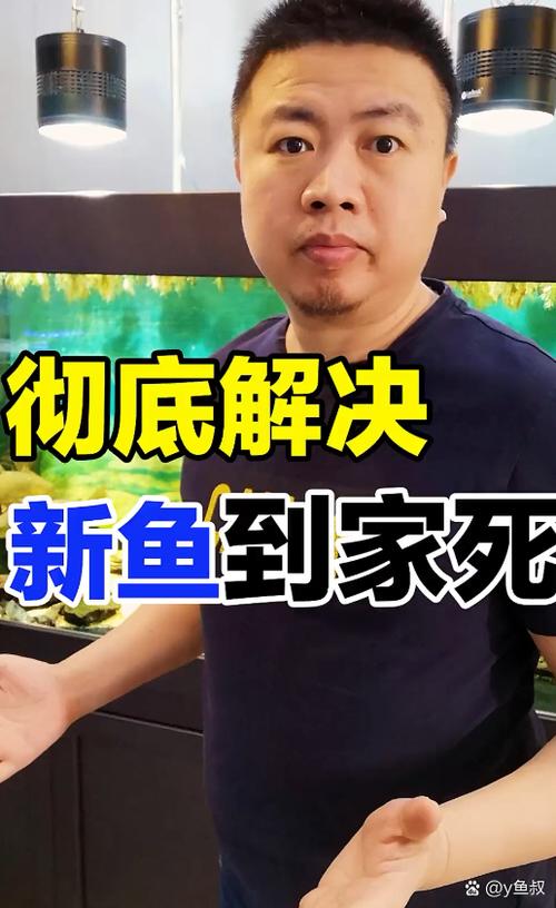 买回来的鱼为什么养不活图标