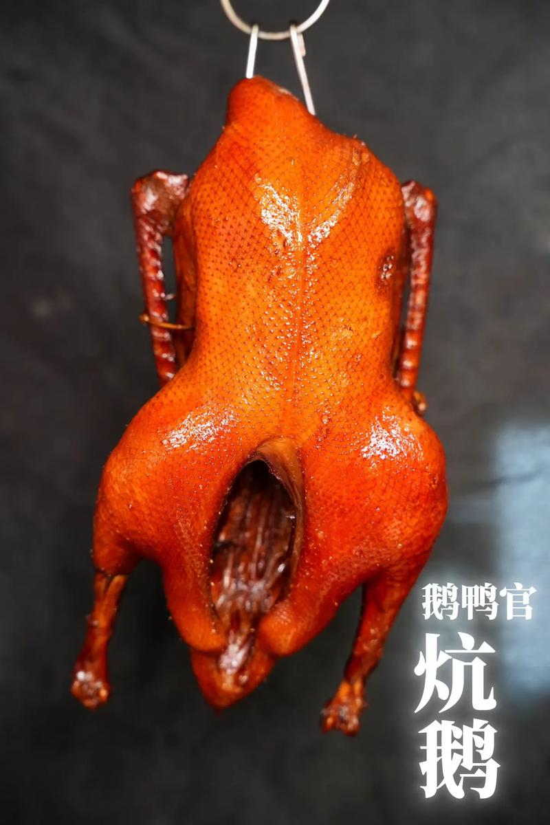 呆鹅官网怎么进图标