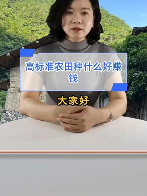 农田种什么最赚钱