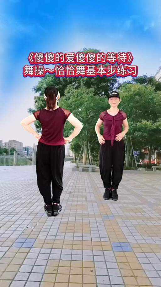 双人对跳恰恰广场舞大全教程
