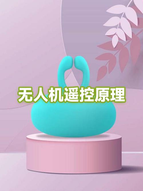 无人机遥控原理截图