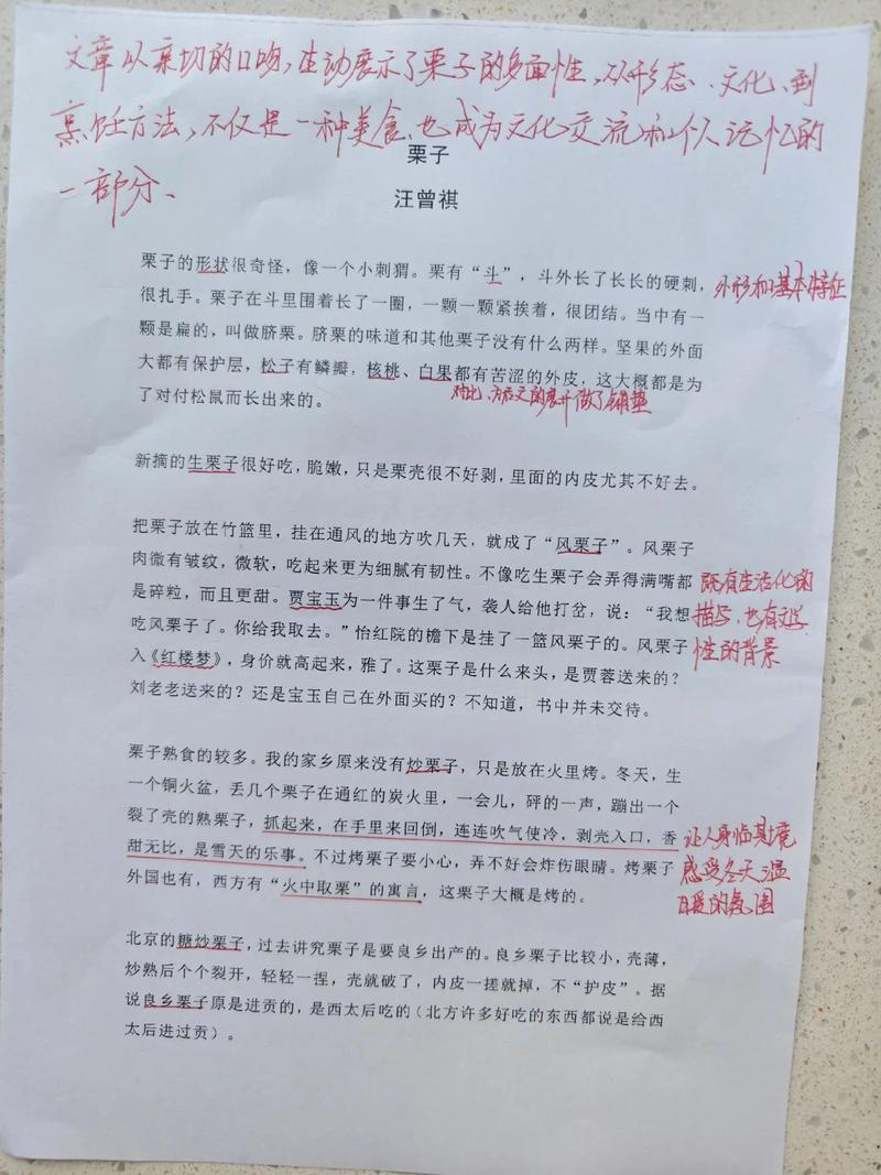 板栗短文阅读答案图标