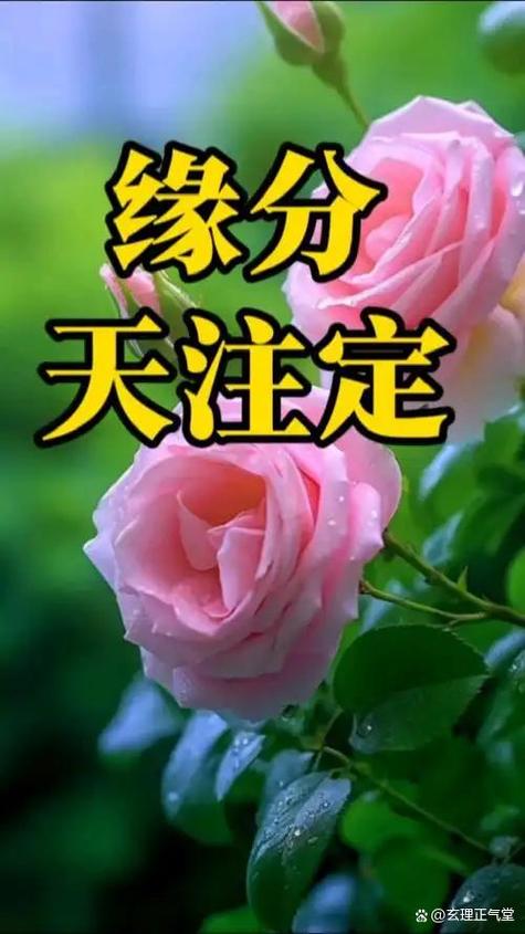 惜缘的佛教解释图标