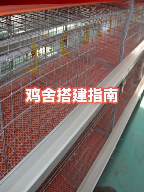 鸡舍土地好还是水泥地好图标