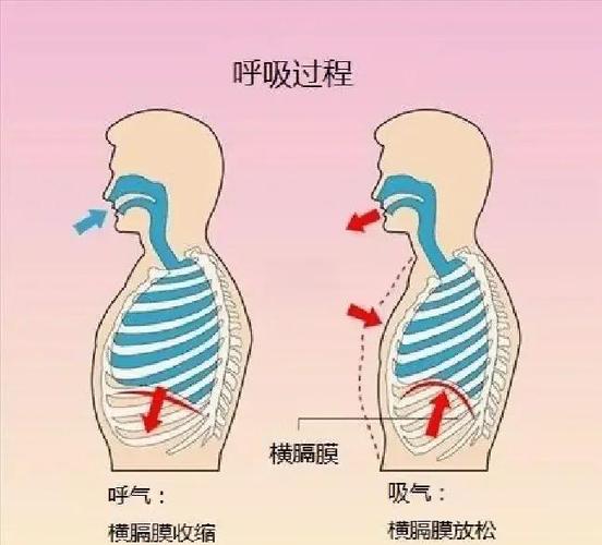 唱歌用鼻子换气还是用嘴换气图标