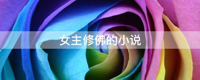 女主是佛修的修仙小说截图