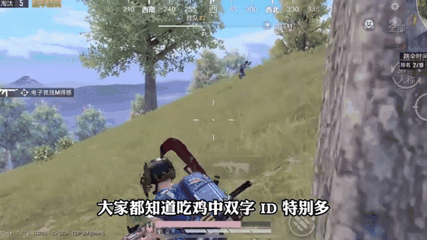 吃鸡双字极品id未注册截图