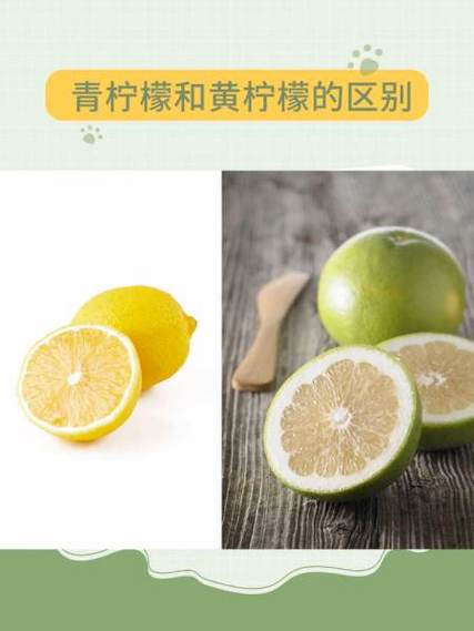 黄柠檬和青柠檬的功效区别是什么缩略图