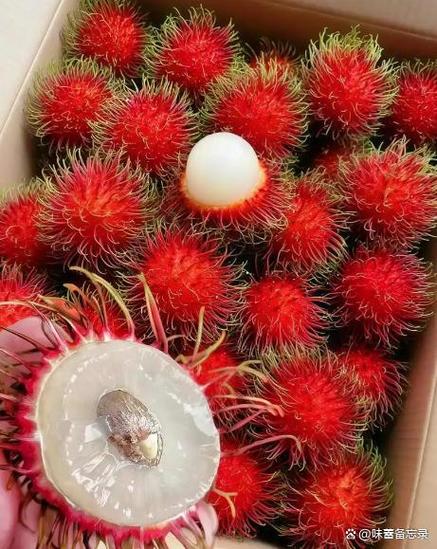 毛荔枝图片图标