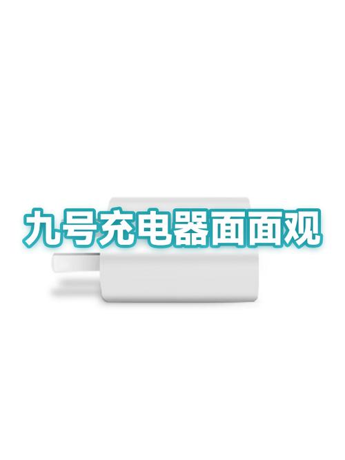 苹果充电器只有一个面能充电图标