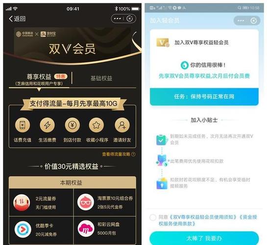 中国移动轻享会员是什么意思图标