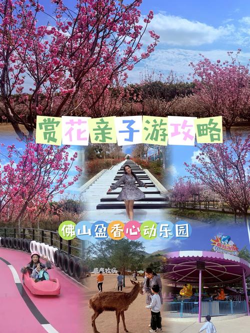 樱花校园怎么去水上乐园图标