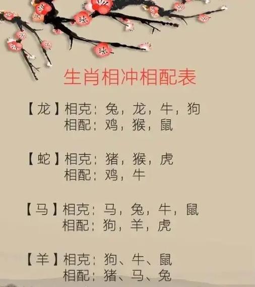 兔日冲鸡什么意思图标