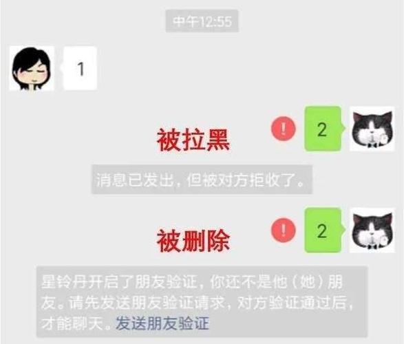 取消关注和拉黑一样吗截图