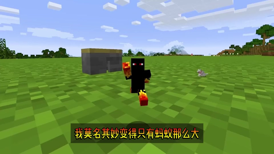我的世界蚂蚁视频截图