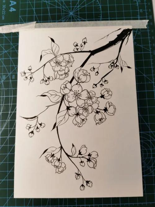 樱花画画截图