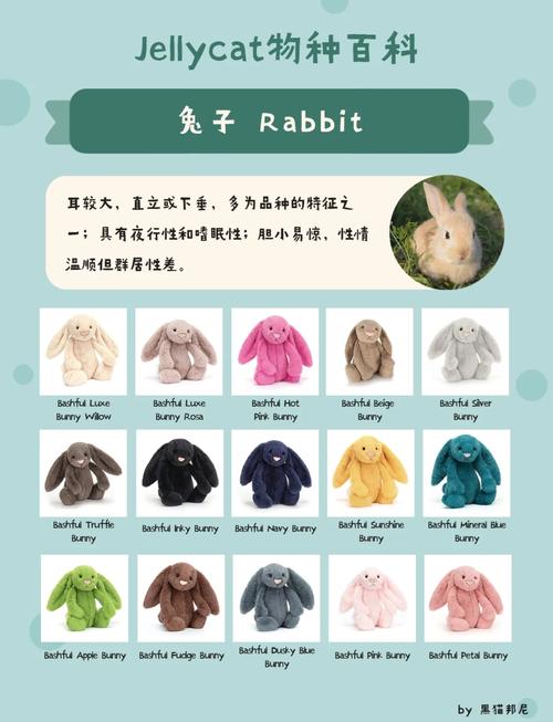 jellycat属于高奢吗图标
