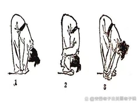 太极拳每天必练的基本功截图