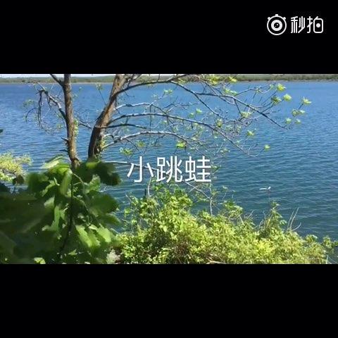 小跳蛙MV图标