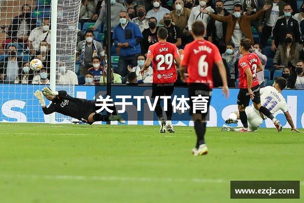 tvt体育网页图标
